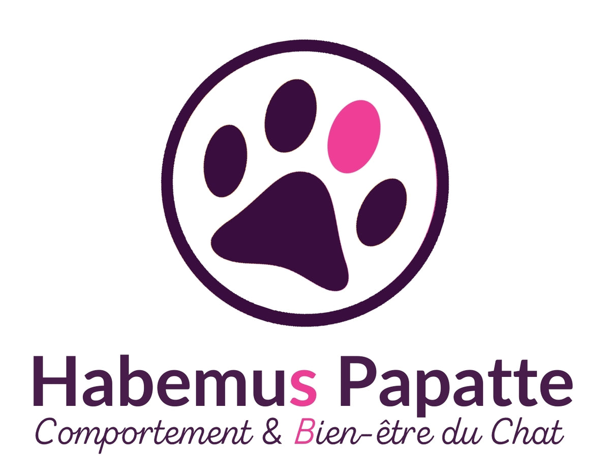 Produits - Habemus Papatte